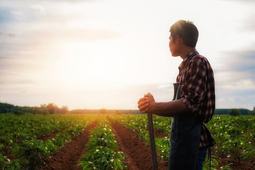 About us - Farmer Grows