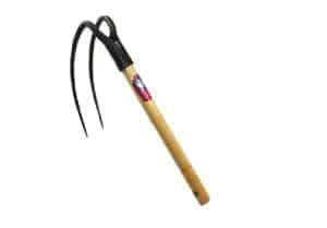 4 Best Ginseng Digging Tools That You Can Use - Farmer Grows