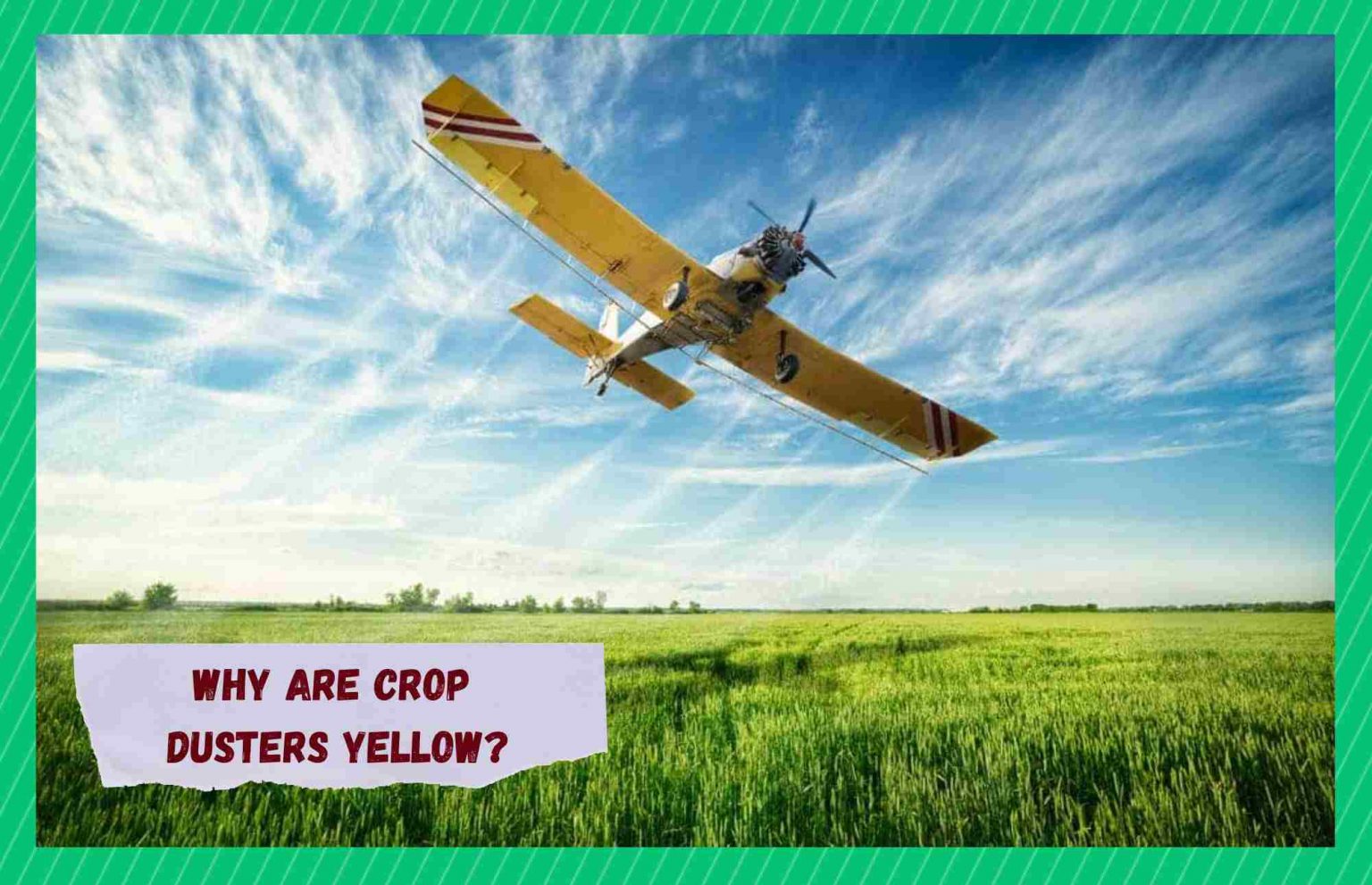 Why Are Crop Dusters Yellow? Explained - Farmer Grows