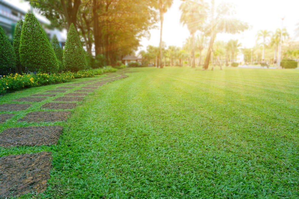 Can You Use Old Motor Oil To Fertilize Your Lawn Farmer Grows Can You Use Old Motor Oil To Fertilize Your Lawn Farmer Grows