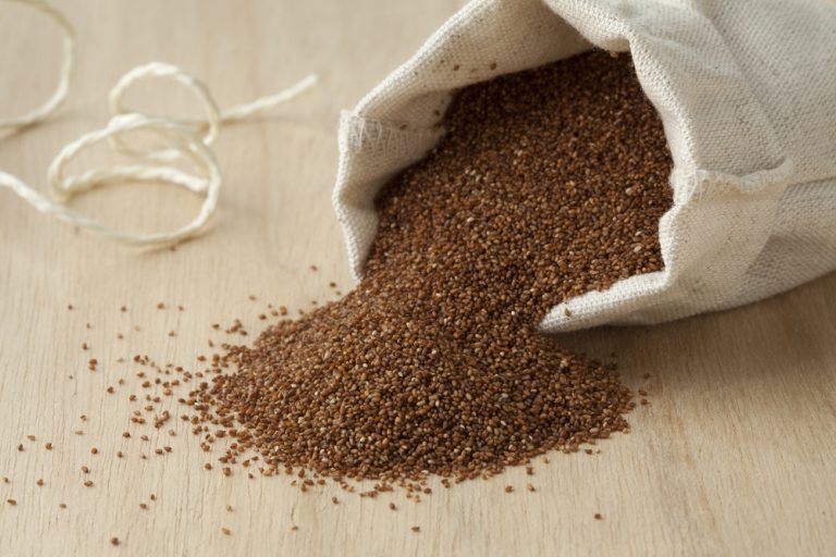 How to Harvest Teff Grain? - Farmer Grows