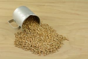 Rye Berries vs Rye Grain: What's The Difference - Farmer Grows