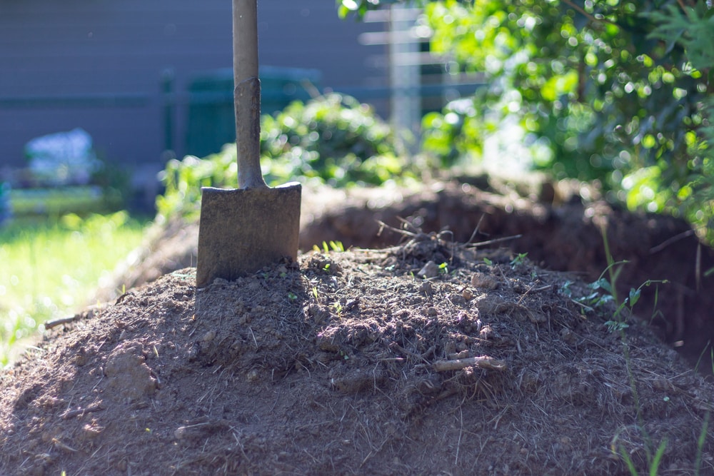 When To Put Compost On Garden The Perfect Timing Farmer Grows when-to-put-compost-on-garden-the-perfect-timing-farmer-grows