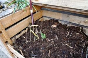 How To Get Rid of Stinging Nettles Permanently? (Answered) - Farmer Grows