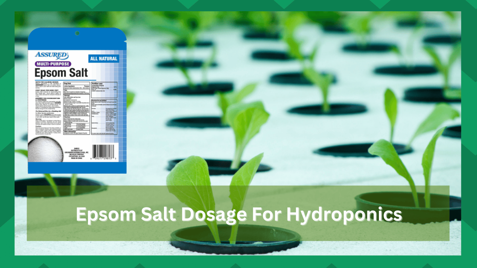 Discussing Epsom Salt Dosage For Hydroponics - Farmer Grows