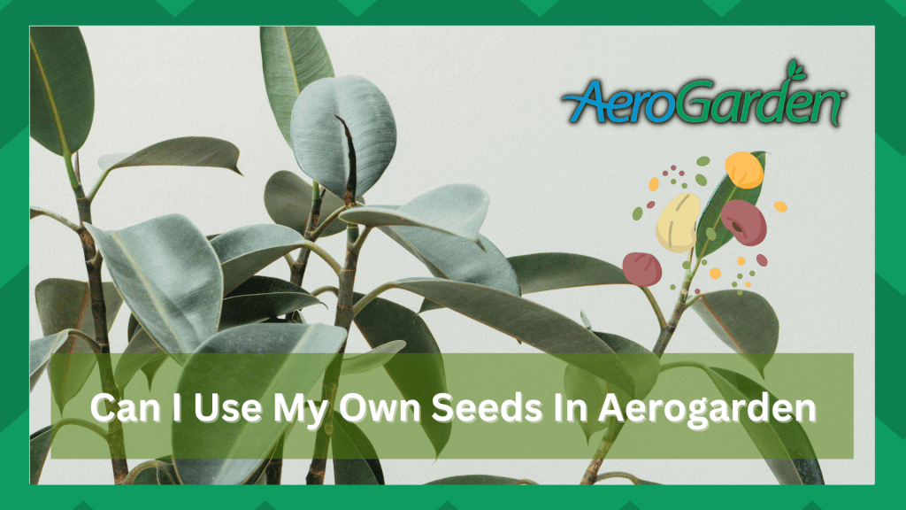 can-i-use-my-own-seeds-in-an-aerogarden-farmer-grows