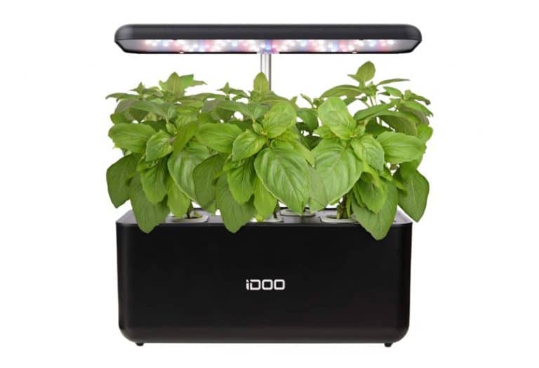 iDOO Hydroponics Growing System Review - Farmer Grows