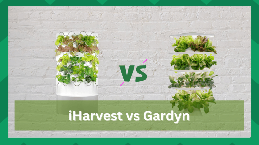 iHarvest Growing System vs Gardyn Growing System: Better One? - Farmer ...