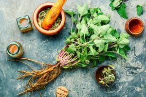 6 Strongest Smelling Mint Plant - Farmer Grows