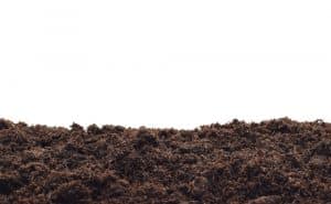 How To Break Up Compacted Soil: Is It Possible? - Farmer Grows