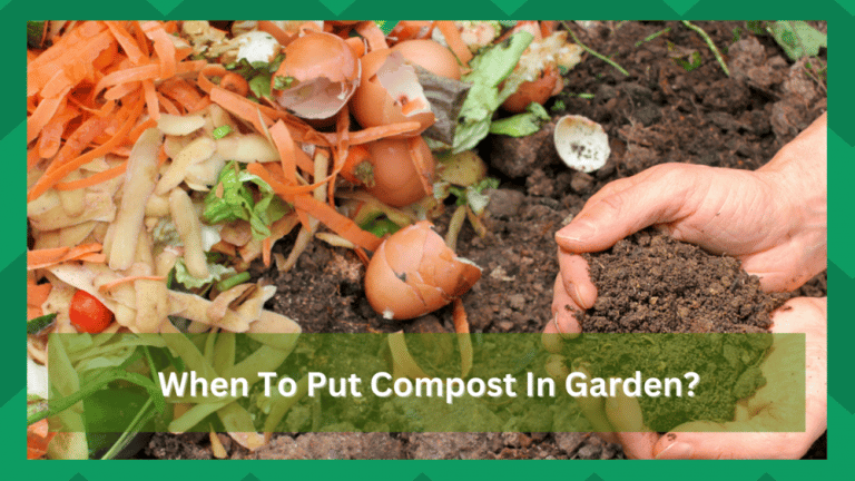 When To Put Compost On Garden: The Perfect Timing - Farmer Grows