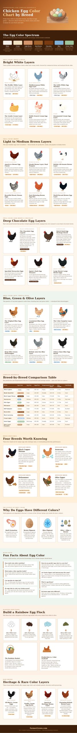 Chicken Egg Color Chart By Breed - Farmer Grows