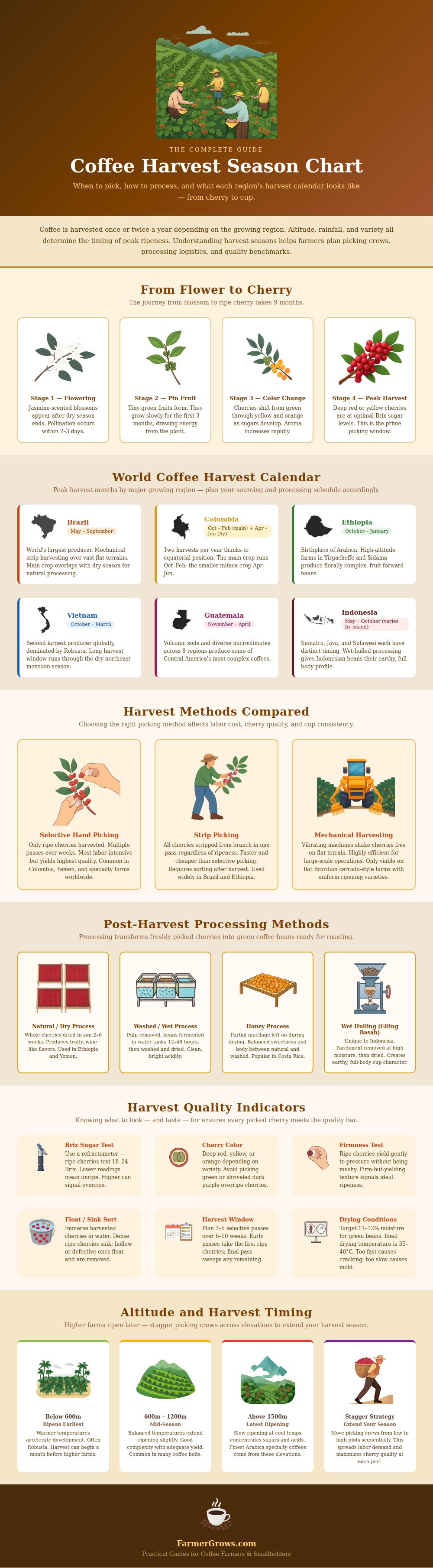 Coffee Harvest Season Chart - Farmer Grows