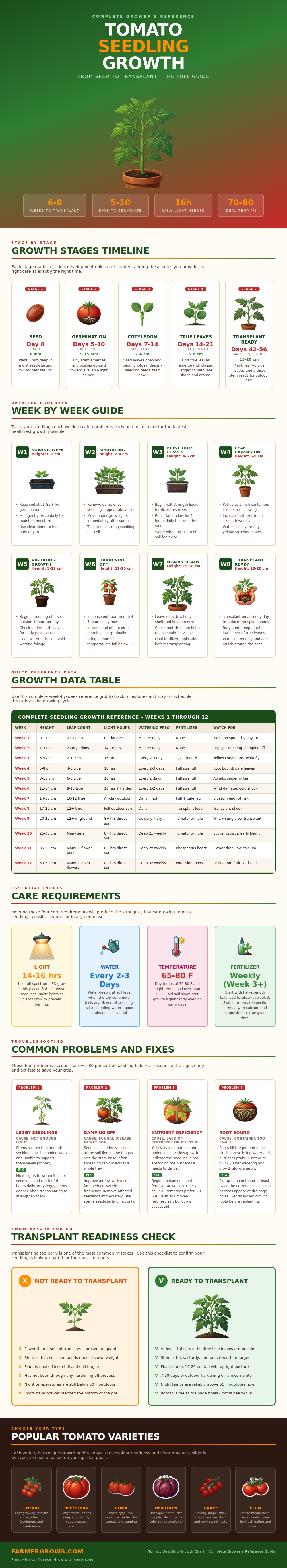 Tomato Seedling Growth Chart - Farmer Grows