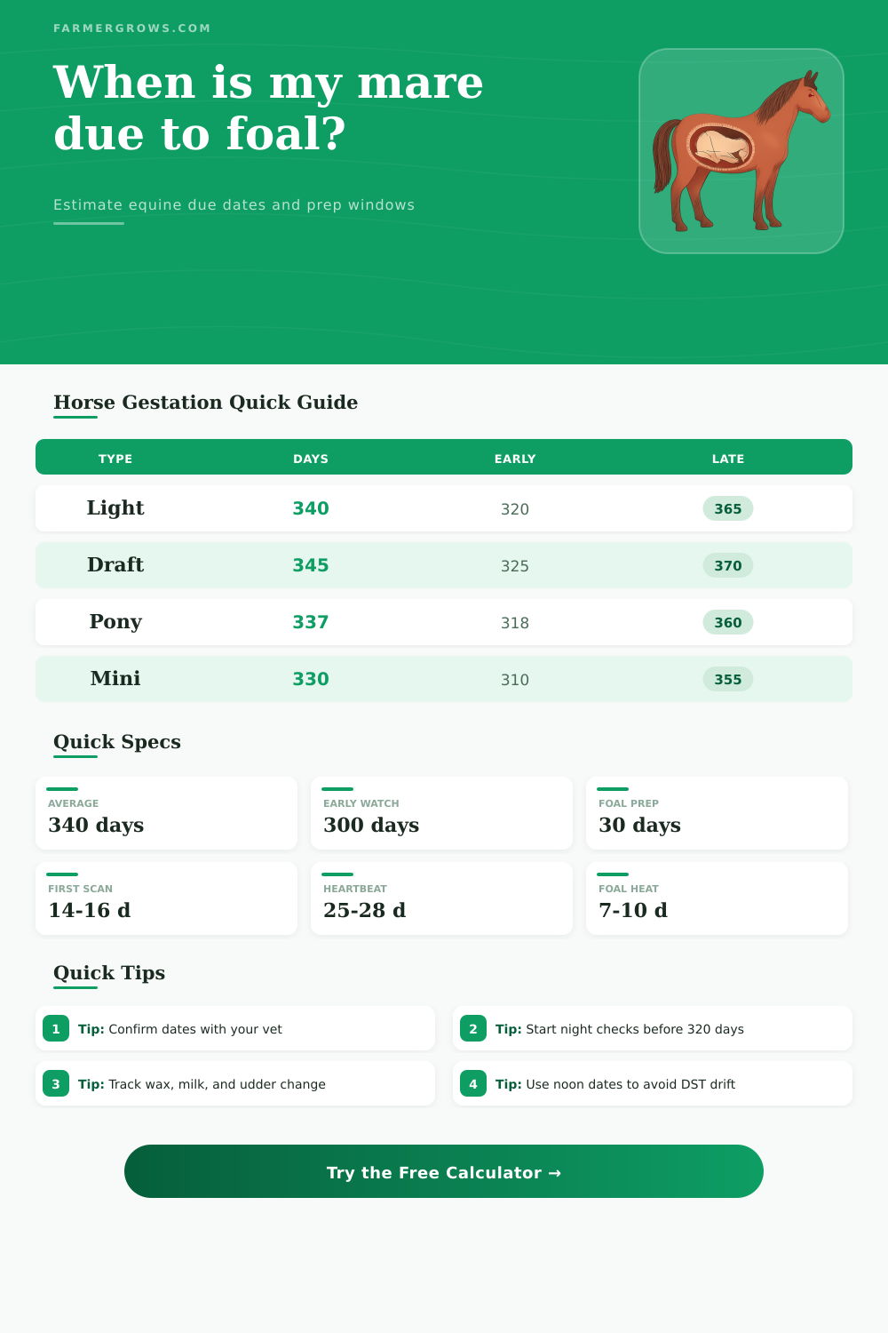 Horse Gestation Period Calculator - Farmer Grows